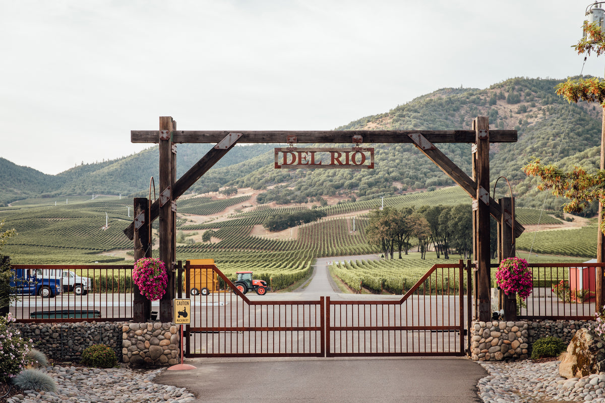 A Look at the Bright Side – Del Rio Vineyards