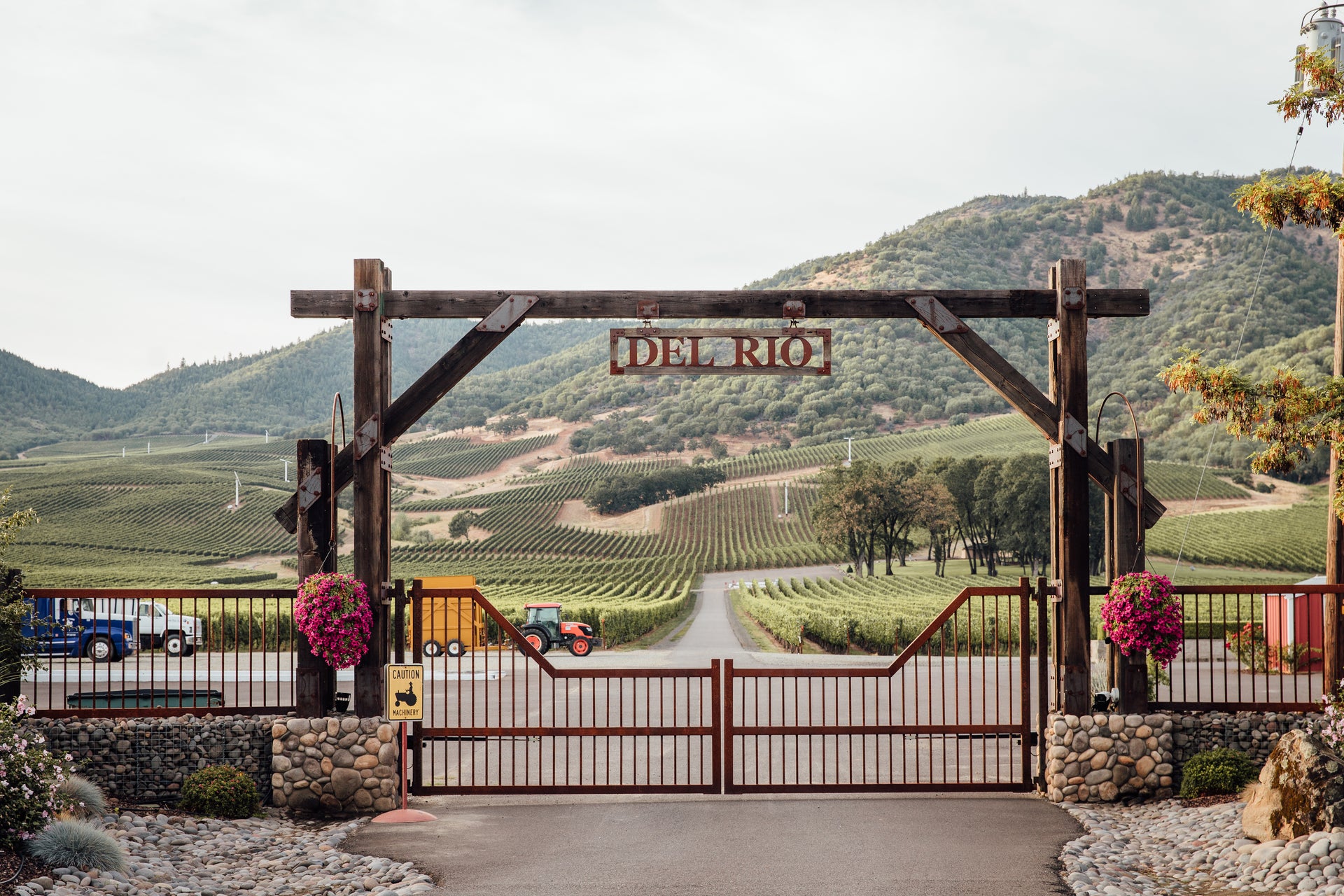 A Look at the Bright Side – Del Rio Vineyards
