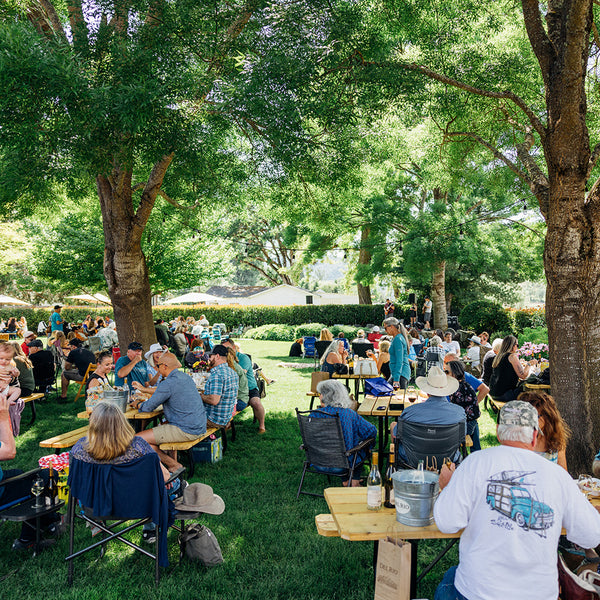 All – Del Rio Vineyards