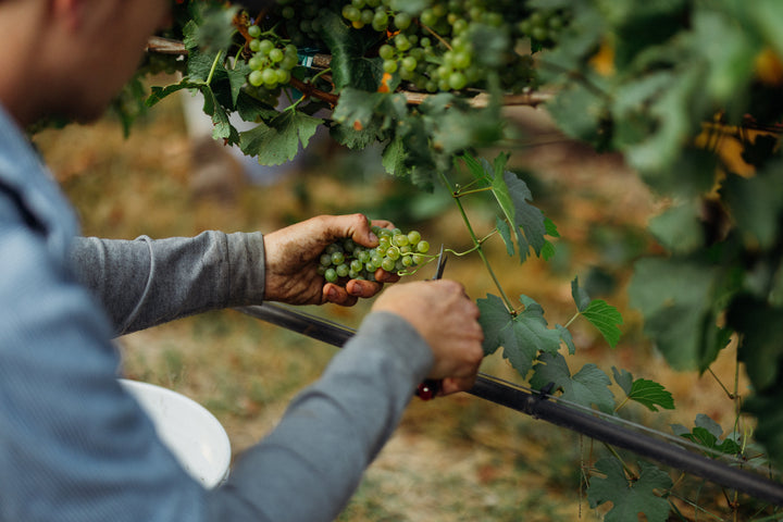 Our family – Del Rio Vineyards