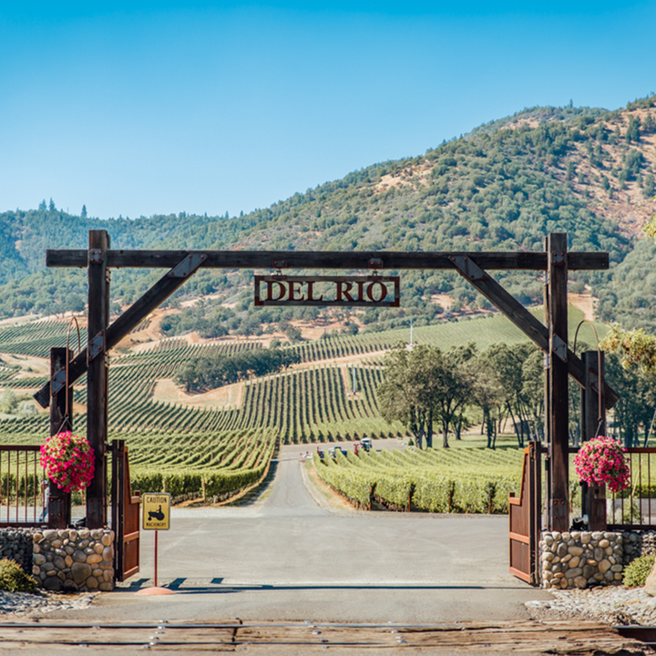 Events – Del Rio Vineyards