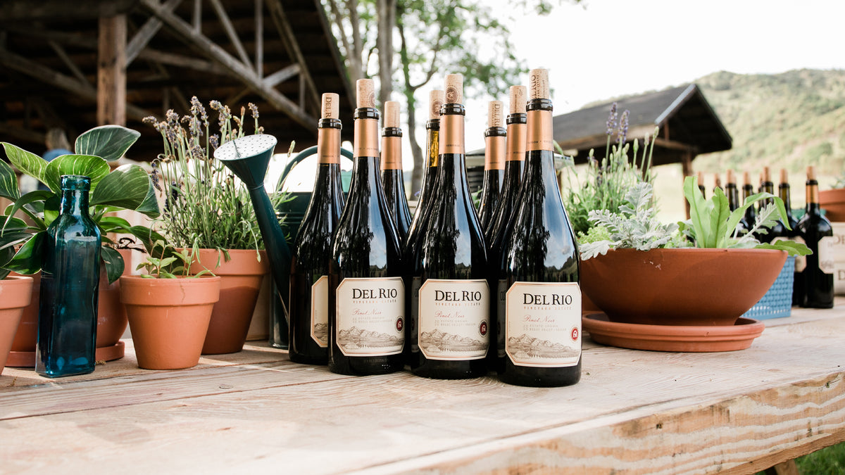 All Wine – Del Rio Vineyards