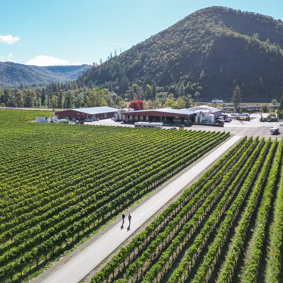 About Us – Del Rio Vineyards